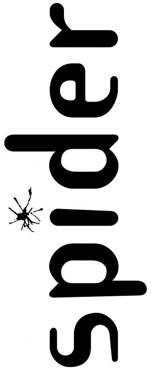 Spider Rhiannon Aarons Famousfix